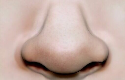 3D-Nose – Jota Robles